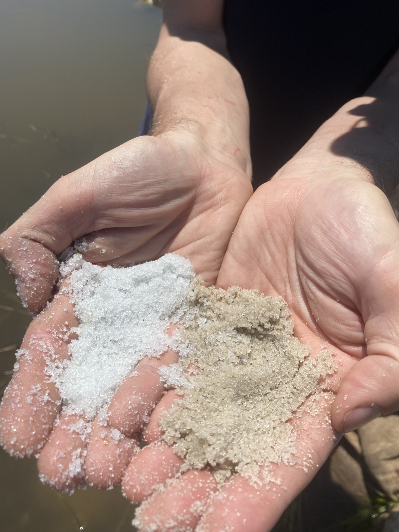Restoring Coastlines and Wetlands Using Recycled Glass – ReMA News